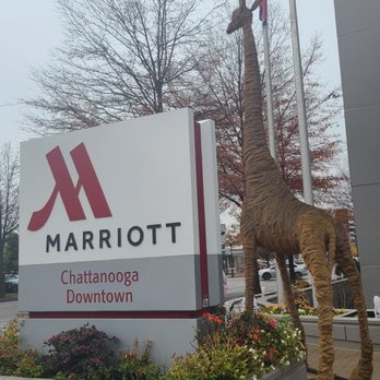 MARRIOTT CHATTANOOGA DOWNTOWN - Updated July 2025 - 140 Photos & 135 ...