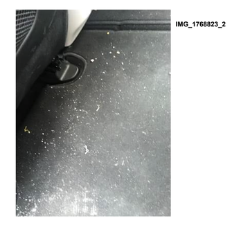 AVIS CAR RENTAL - Updated July 2025 - 329 Photos & 1462 Reviews - 25500 ...