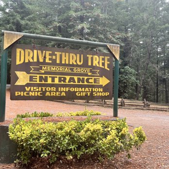 DRIVE-THRU TREE - Updated December 2025 - 587 Photos & 201 Reviews ...