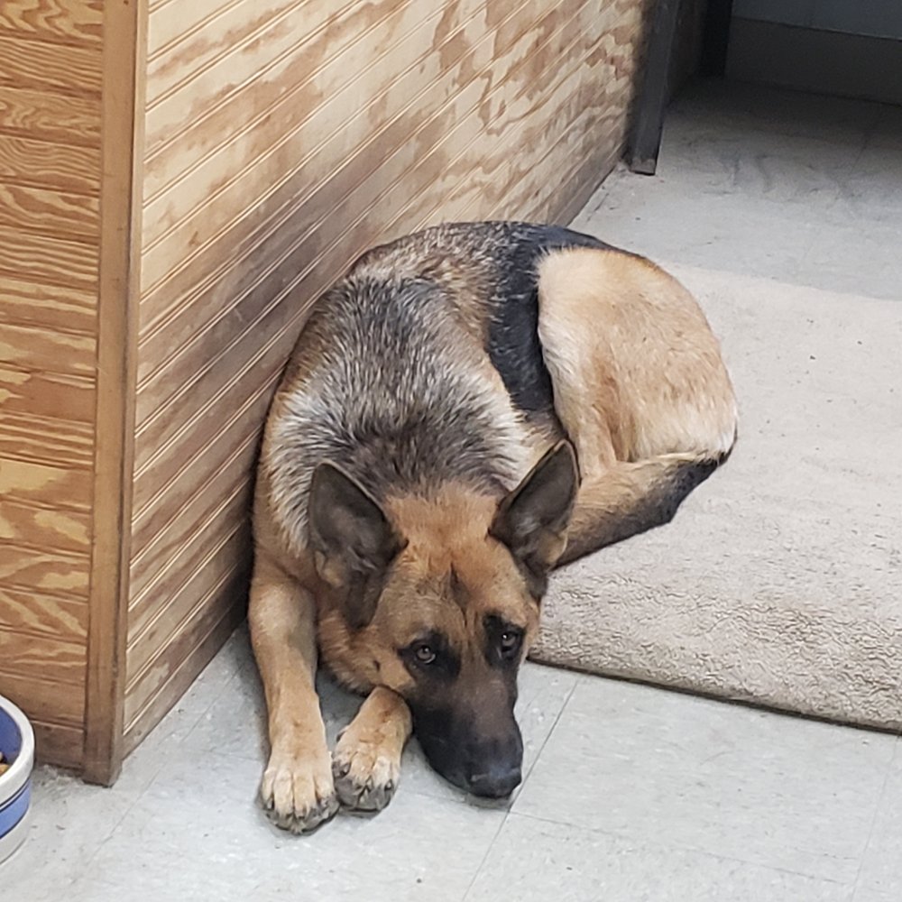 JK AUTO SERVICE & TIRES - Updated January 2026 - 10 Reviews - 1041 ...