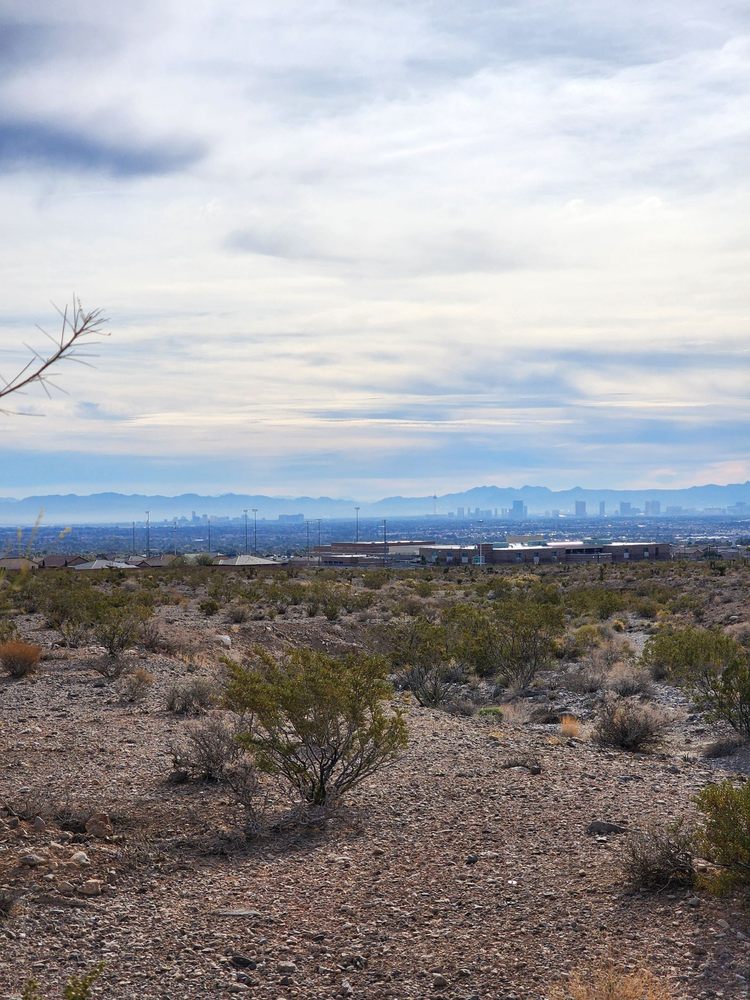 KNICKERBOCKER PARK - Updated September 2025 - 117 Photos & 43 Reviews ...