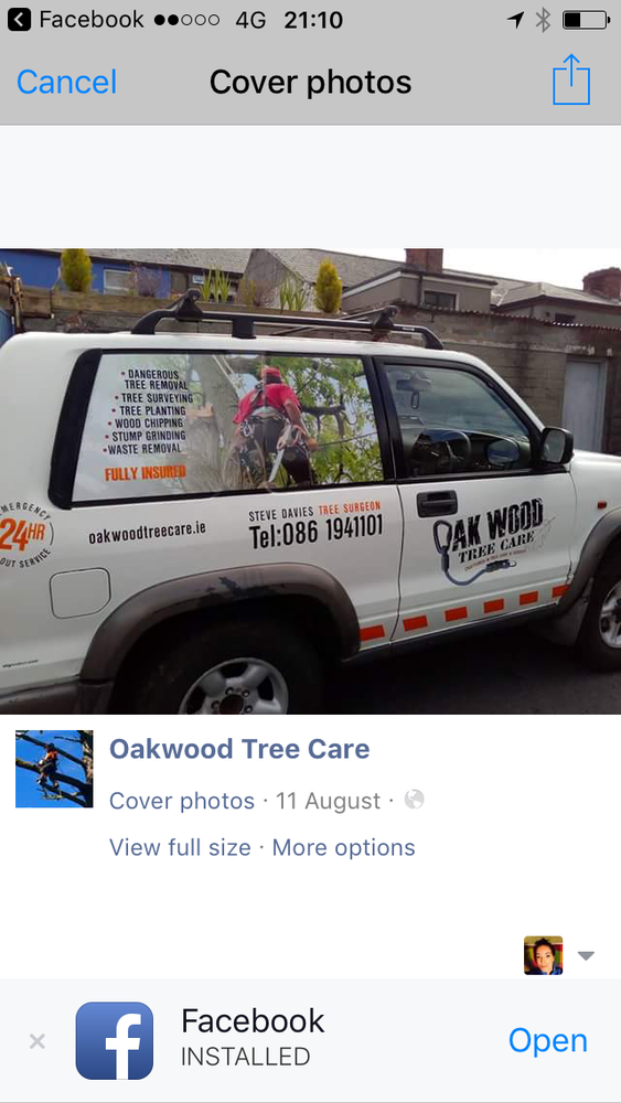 OAKWOOD TREE CARE - Updated May 2024 - Carraiglong, Tramore, Co ...