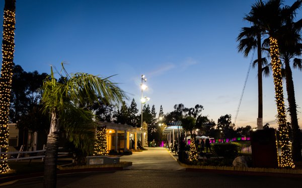 THE ISLANDS GOLF CENTER - Updated June 2025 - 505 Photos & 434 Reviews ...