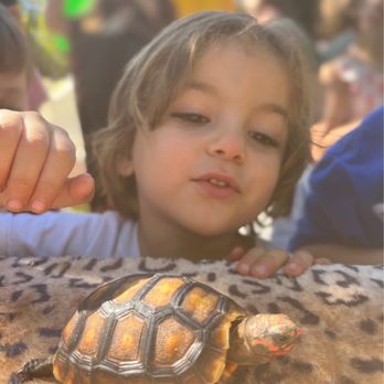 THE LITTLE ZOO - 28 Photos & 19 Reviews - Temple City, California ...