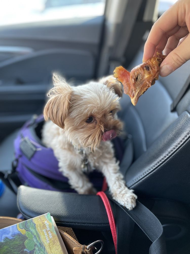 LONG DOG FAT CAT - Updated July 2025 - 35 Photos & 23 Reviews - 2501 S ...