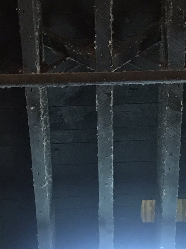 Gillespie's Map Room, Cleveland | Roadtrippers