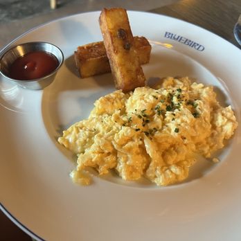 BLUEBIRD - Updated October 2024 - 107 Photos & 75 Reviews - 218 Lynx ...