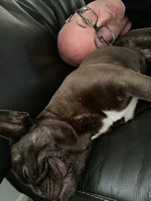 KANSAS HUMANE SOCIETY - Updated December 2025 - 11 Photos & 25 Reviews ...