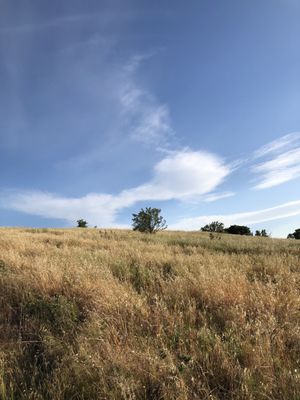 NEWHALL COMMUNITY PARK - Updated May 2024 - 216 Photos & 94 Reviews ...