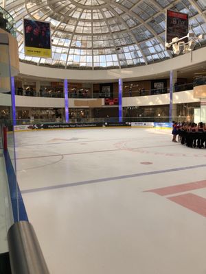 ICE PALACE - Updated April 2026 - 16 Photos & 11 Reviews - 8882 170 ...