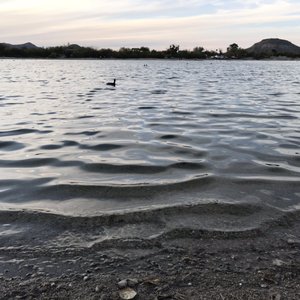 RILLITO RIVER PARK - 33 Photos & 36 Reviews - Parks - 4200 N Campbell ...
