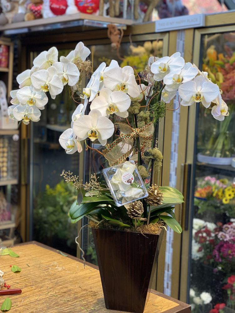 MARIN FLOWERS - 710 Photos & 104 Reviews - 1203 4th St, San Rafael ...