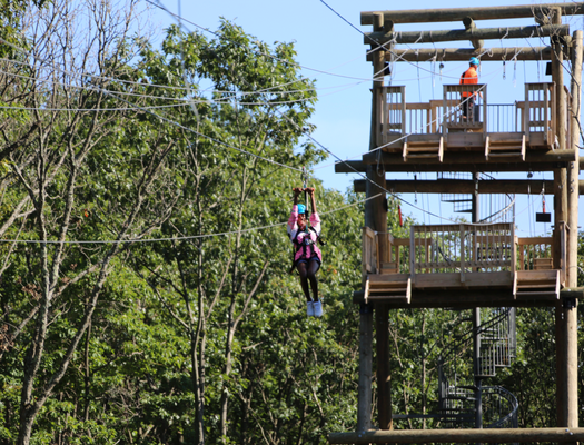 GORILLA GROVE TREETOP ADVENTURES - 41 Photos - 250 Kalahari Blvd ...