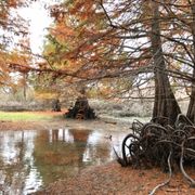 NILES COMMUNITY PARK - 178 Photos & 34 Reviews - Parks - 37697 3rd St ...