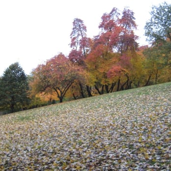 EWEN PARK - Updated July 2025 - 25 Photos - Riverdale And 231st St ...