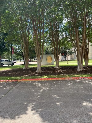 MD ANDERSON LIBRARY - Updated December 2025 - 25 Photos & 14 Reviews ...