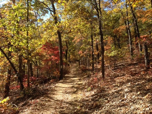 BUSIEK STATE FOREST - Updated March 2026 - 28 Photos & 13 Reviews - 5 ...