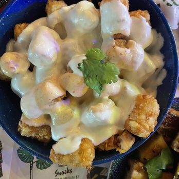 TIKI TNT & POTOMAC DISTILLING - Updated August 2024 - 800 Photos & 428 ...