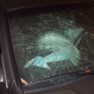 LAW OFFICES OF ILAN N ROSEN JANFAZA, APC - Updated December 2025 - 9025 ...