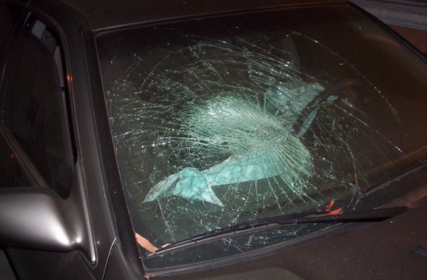 LAW OFFICES OF RON A ROSEN JANFAZA - Updated December 2025 - 27 Photos ...