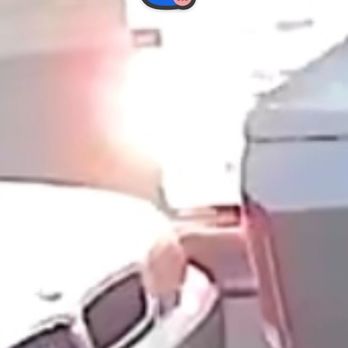 PAWGO - Updated June 2024 - 89 Photos & 142 Reviews - 46 W Hatcher Rd ...