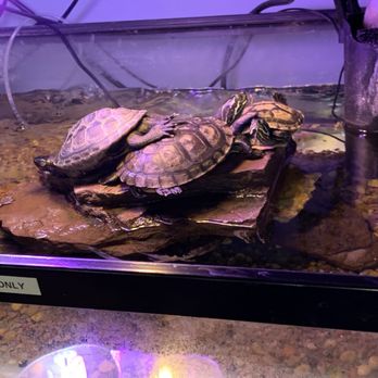 FLOATING SEA AQUATICS - Updated December 2025 - 290 Photos & 65 Reviews ...