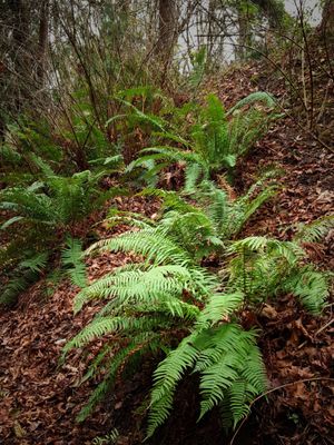 FAIRHAVEN PARK - Updated September 2025 - 24 Photos - 2222-2298 ...