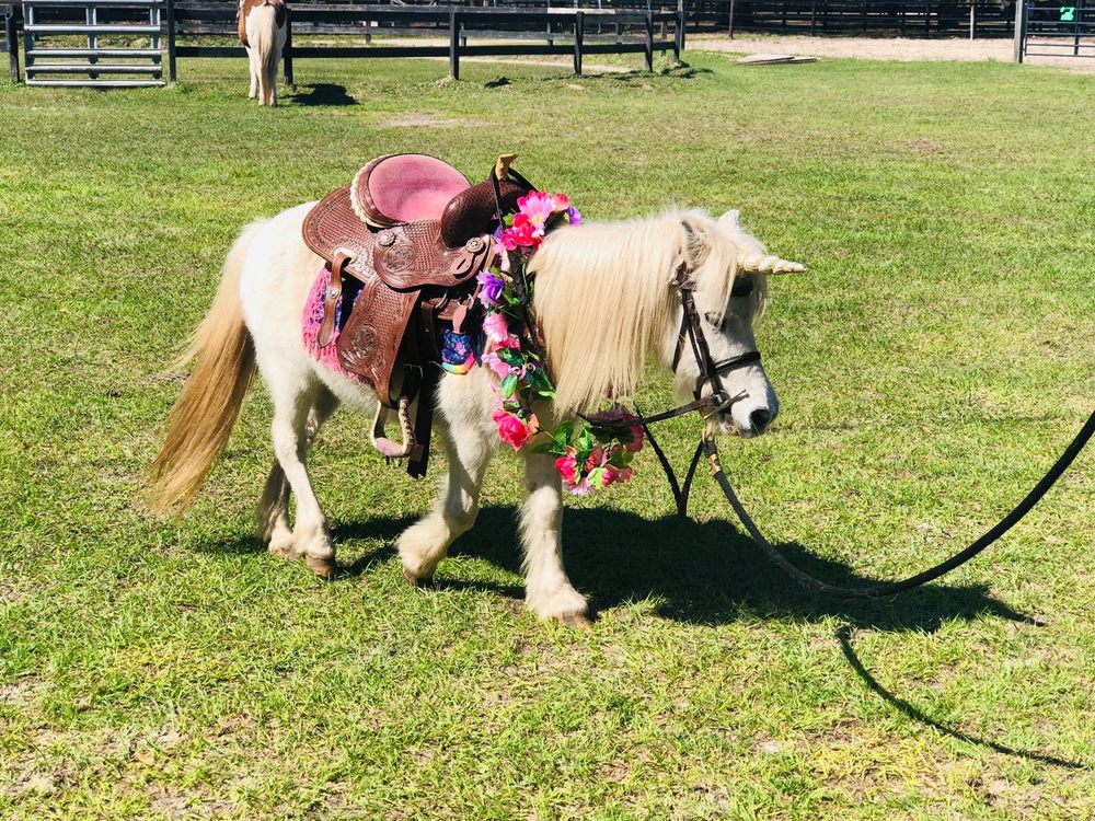 GREY GOOSE FARM - 13 Photos - 3915 CR 210 W, St Johns, FL - Yelp