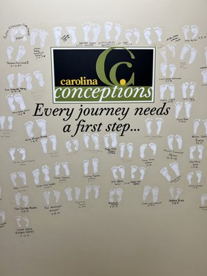 CAROLINA CONCEPTIONS - Updated November 2024 - 12 Photos & 40 Reviews ...