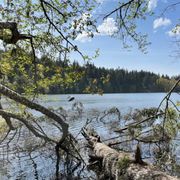 LAKE PADDEN PARK - 94 Photos & 48 Reviews - 4882 Samish Way, Bellingham ...