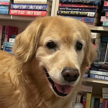 THE REGIONAL VETERINARY REFERRAL CENTER - Updated August 2025 - 26 ...