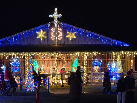 THE CHRISTMAS RANCH - Updated November 2025 - 178 Photos & 54 Reviews ...