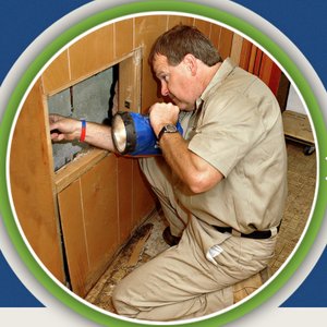 ABALON EXTERMINATING - Updated November 2024 - 21 Reviews - 261 5th Ave ...