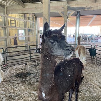 HERSHBERGER’S FARM AND BAKERY - Updated September 2025 - 187 Photos ...