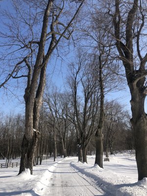 Leonard, MI Map & Directions - MapQuest