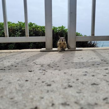 TAMARACK STATE BEACH - Updated December 2025 - 399 Photos & 99 Reviews ...