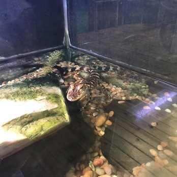 DAGGERWING NATURE CENTER - Updated June 2025 - 134 Photos & 16 Reviews ...