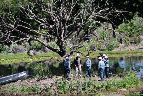 MARIN COUNTY ARBORISTS - Updated July 2024 - 44 Photos & 44 Reviews ...