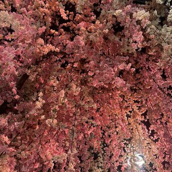 KEKOON RESTAURANT AND LOUNGE - Updated July 2024 - 193 Photos & 65 ...