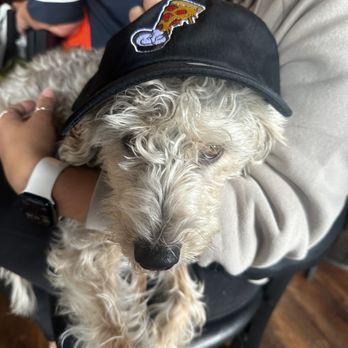 SANDBOX PIZZA - Updated February 2025 - 519 Photos & 1048 Reviews ...