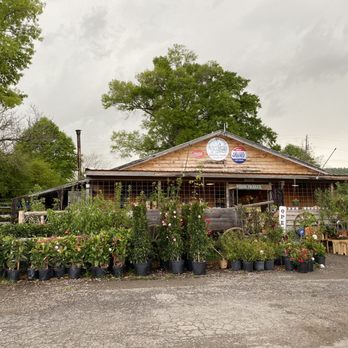 GREASY COVE GENERAL STORE - Updated April 2025 - 88 Photos & 10 Reviews ...