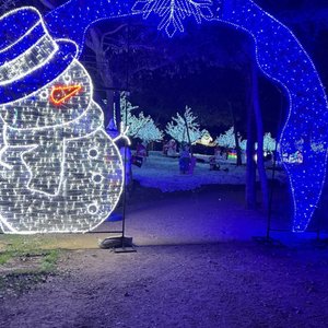 BUCKS WILD - Updated December 2025 - 51 Photos & 50 Reviews - 11327 ...