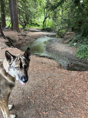 SHOUP PARK - Updated December 2025 - 121 Photos & 64 Reviews - 400 ...