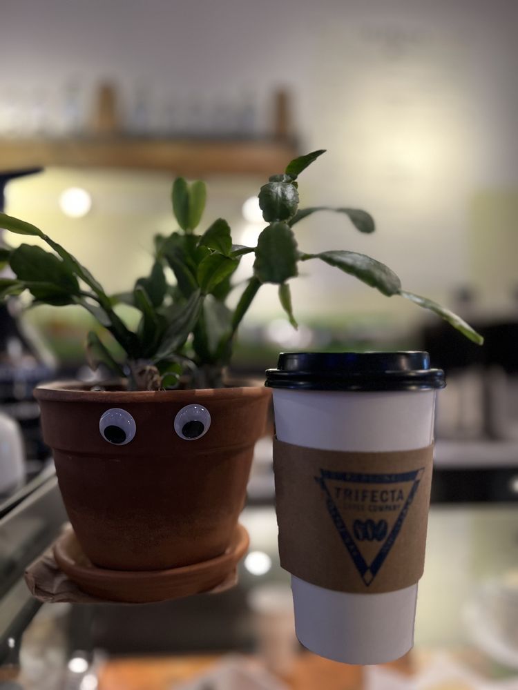 TRIFECTA COFFEE COMPANY - 330 Photos & 240 Reviews - 413 Montano Rd NE ...