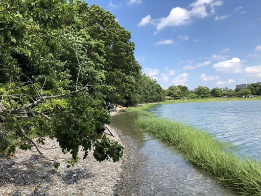 WEBB MEMORIAL STATE PARK - 379 Photos & 20 Reviews - 371 River St N ...