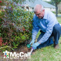 MCCALL PEST & WILLDIFE - Updated December 2025 - 53 Reviews - 2861 ...