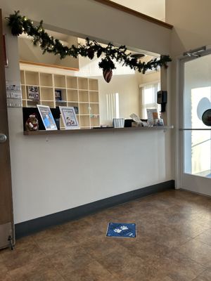 WILSON VETERINARY HOSPITAL - Updated December 2025 - 61 Photos & 327 ...