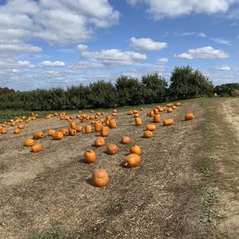 Soergel Orchards & Garden Center - 234 Photos & 117 Reviews - Fruits ...