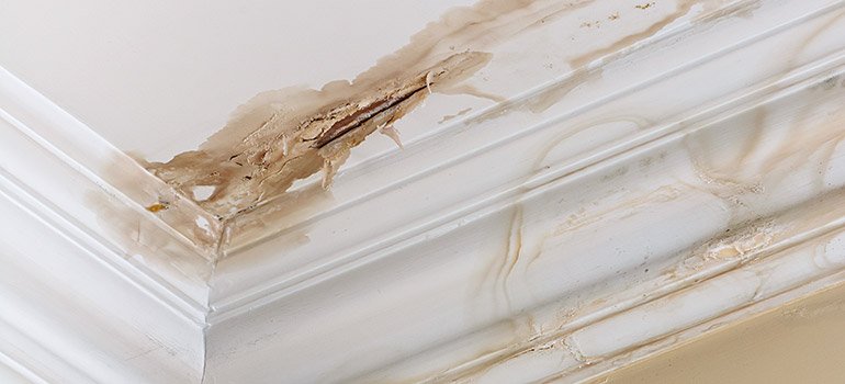 RELIANT RESTORATION - Austin, Texas - Damage Restoration - Phone Number ...