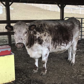 MUSCOOT FARM - Updated December 2025 - 186 Photos & 47 Reviews - 51 Rt ...